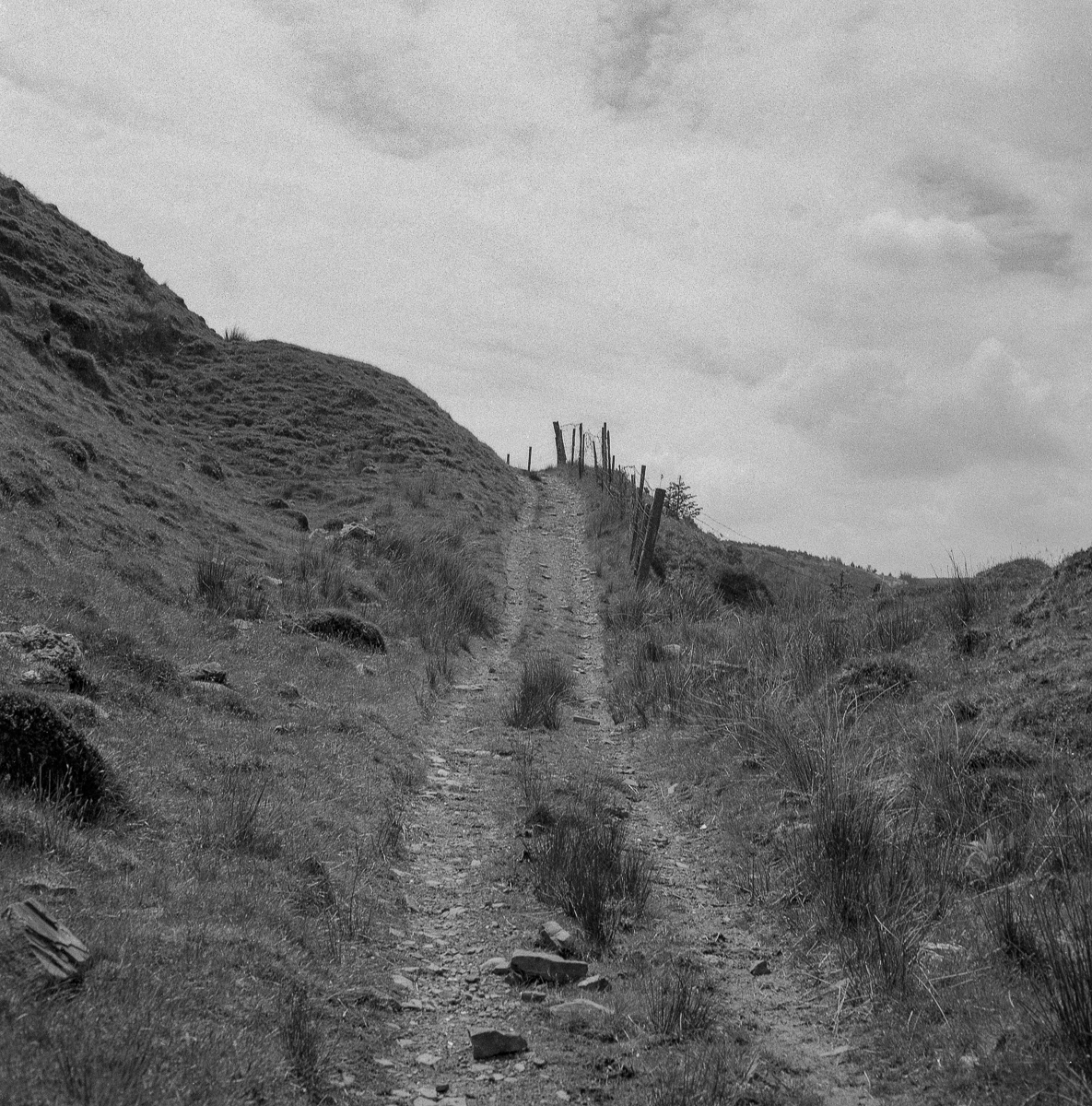 Fomapan 400 in 120 format is a revelation …. – tim dobbs photography