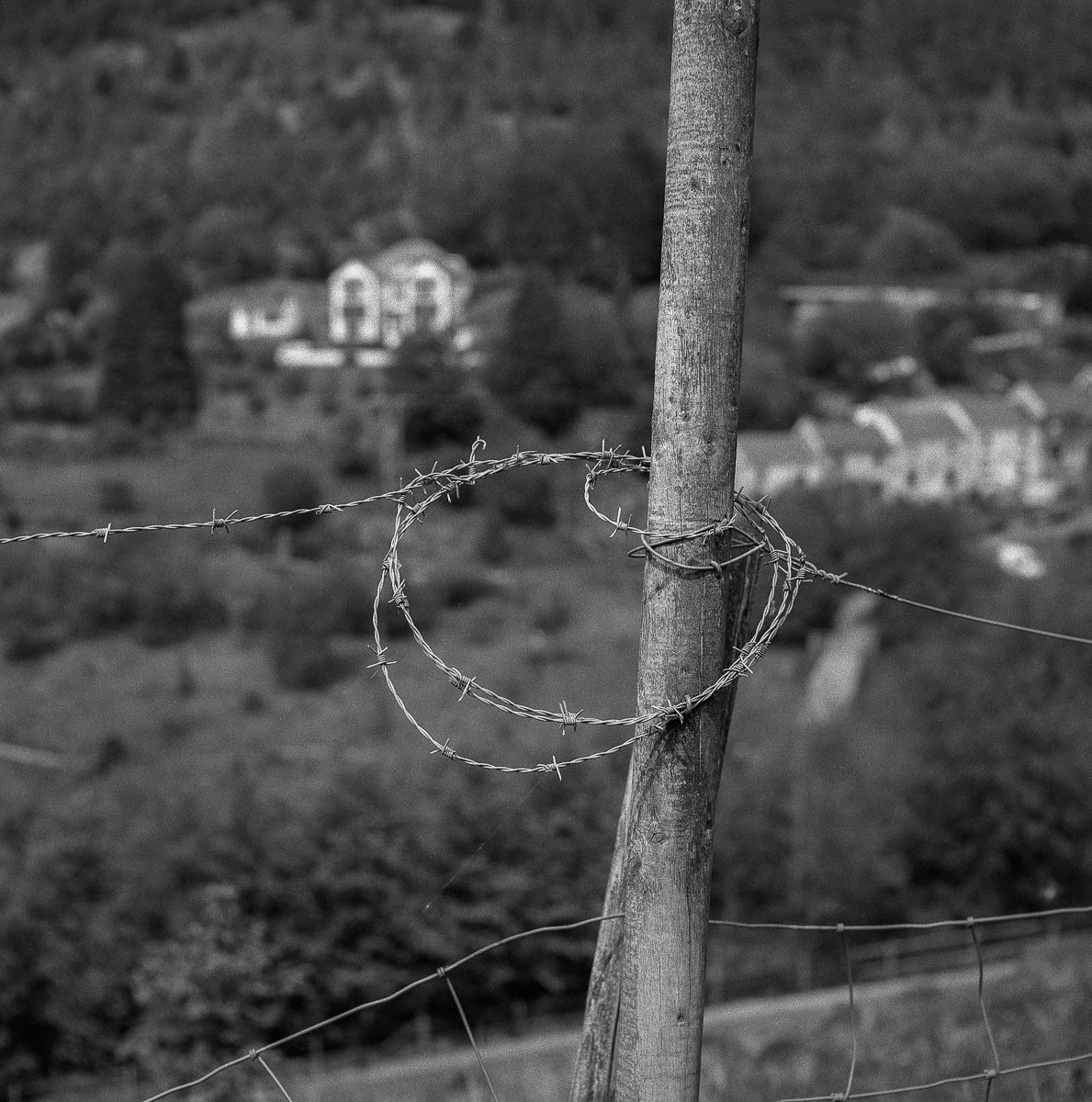 Fomapan 400 in 120 format is a revelation …. – tim dobbs photography