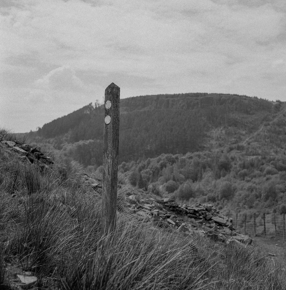 Fomapan 400 in 120 format is a revelation …. – tim dobbs photography