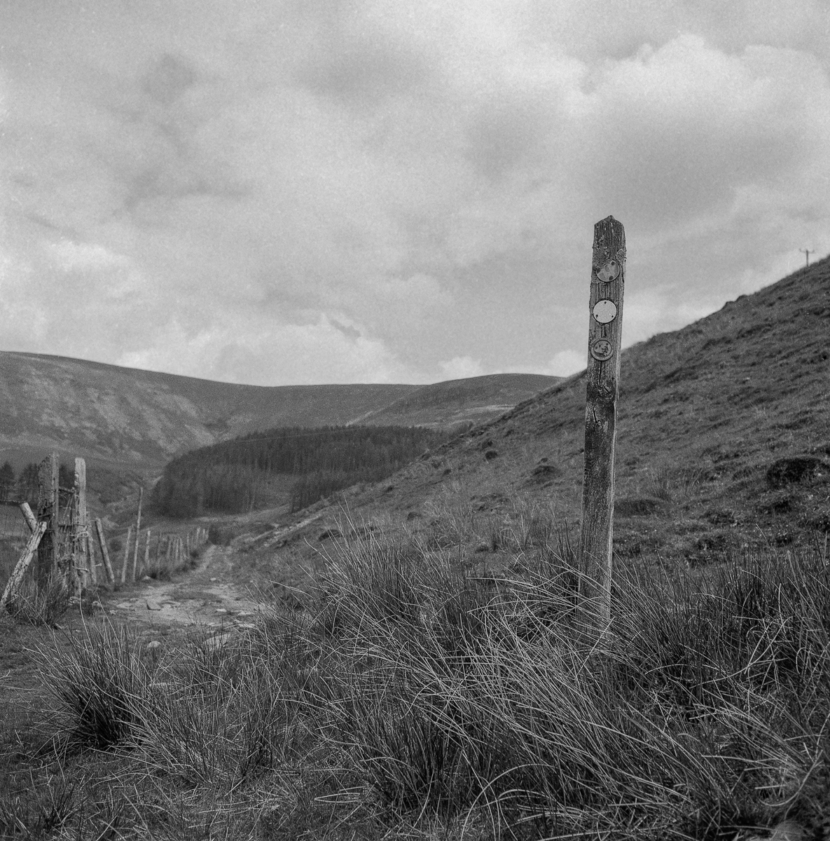 Fomapan 400 in 120 format is a revelation …. – tim dobbs photography