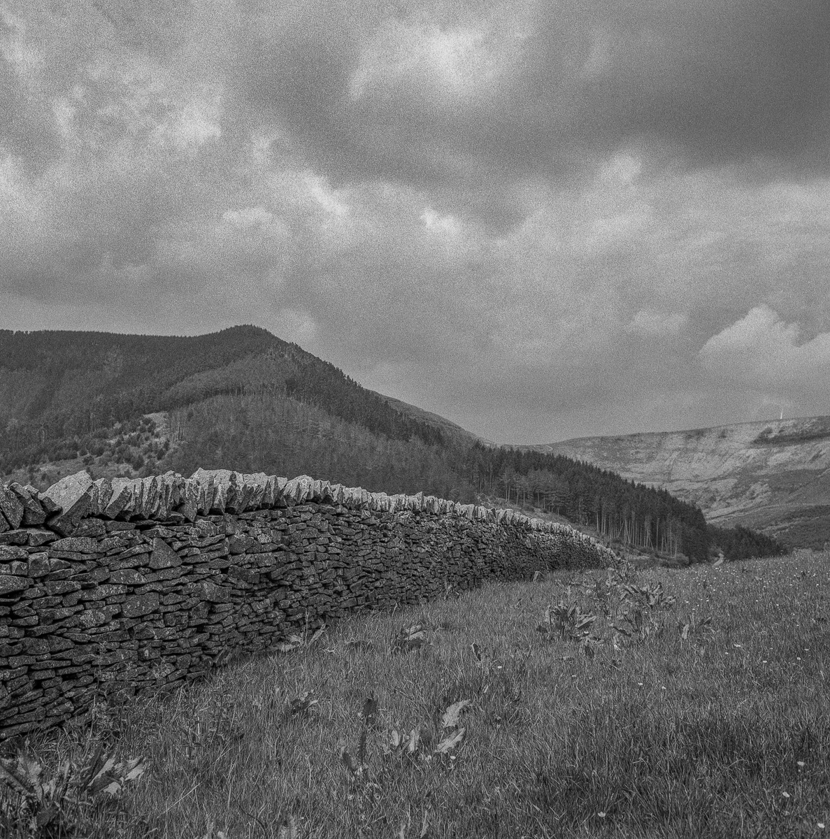 Fomapan 400 in 120 format is a revelation …. – tim dobbs photography