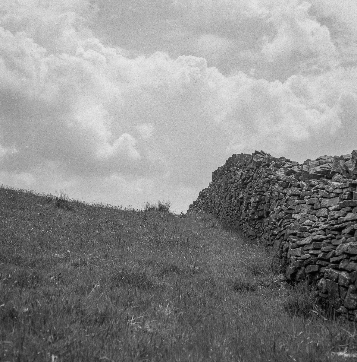 Fomapan 400 in 120 format is a revelation …. – tim dobbs photography