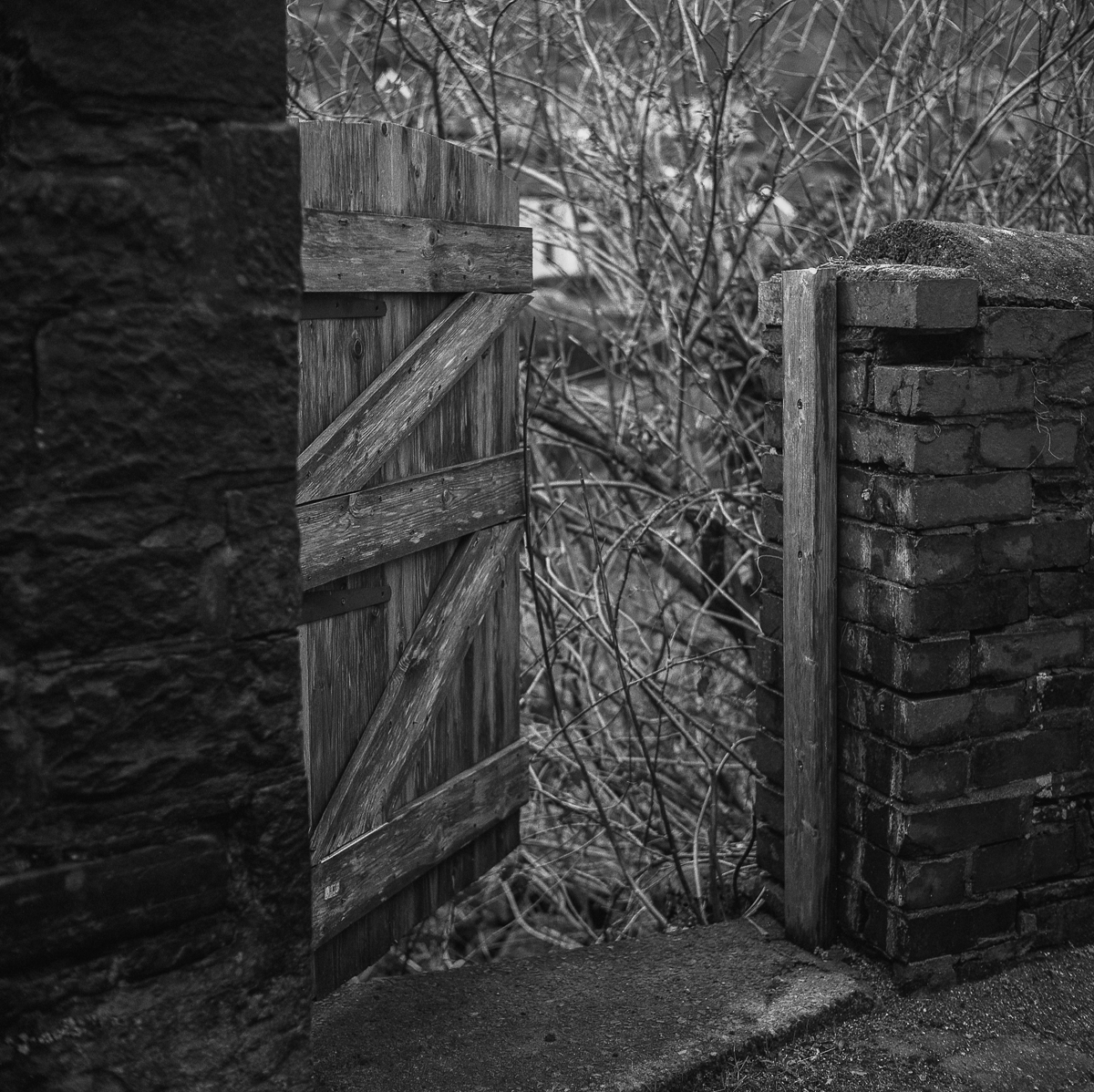 ilford XP2 in B&W chemistry … the whole roll … – tim dobbs photography