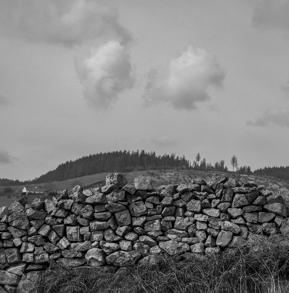 Sheds & Stuff on Acros 100 ….. – tim dobbs photography