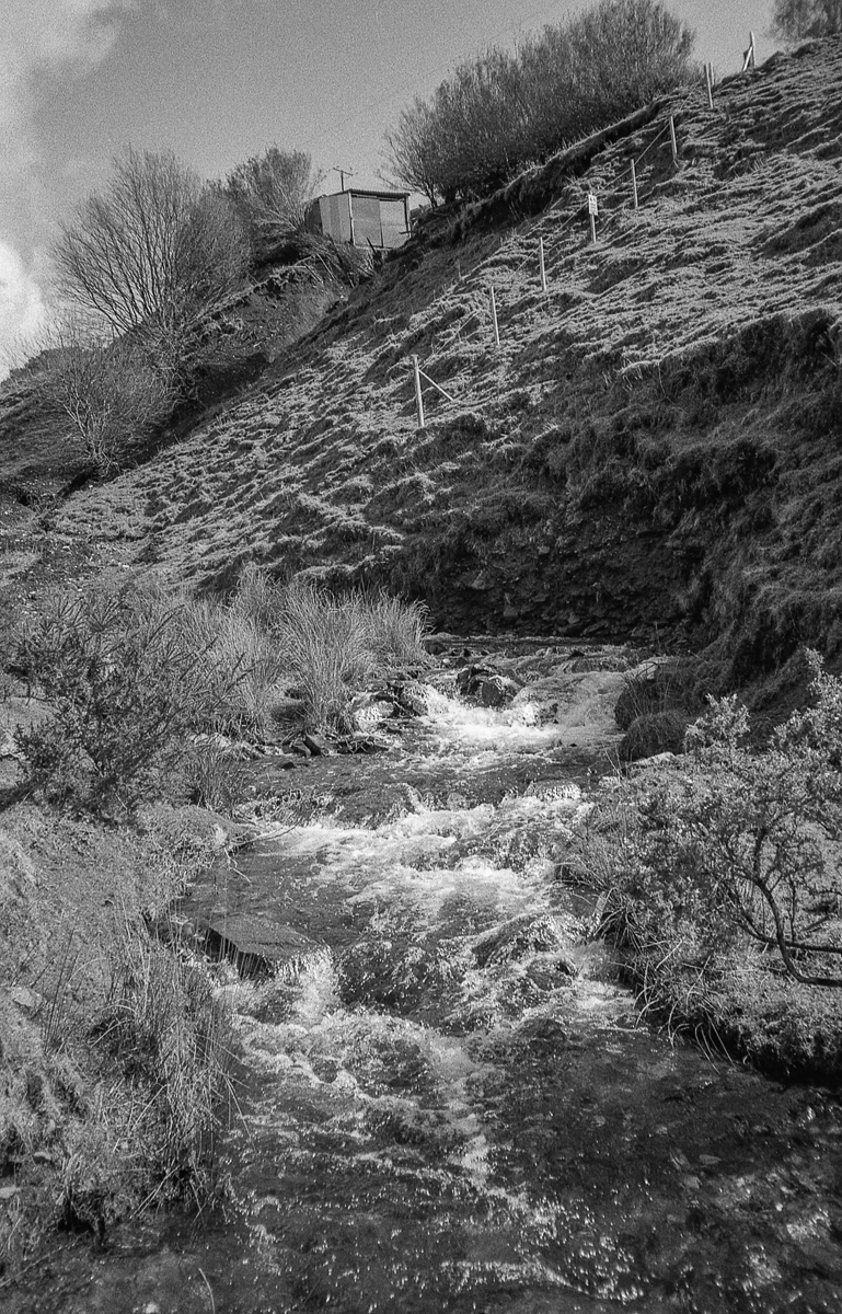 Testing a new camera .. Olympus XA with kentmere 400 … – tim dobbs ...
