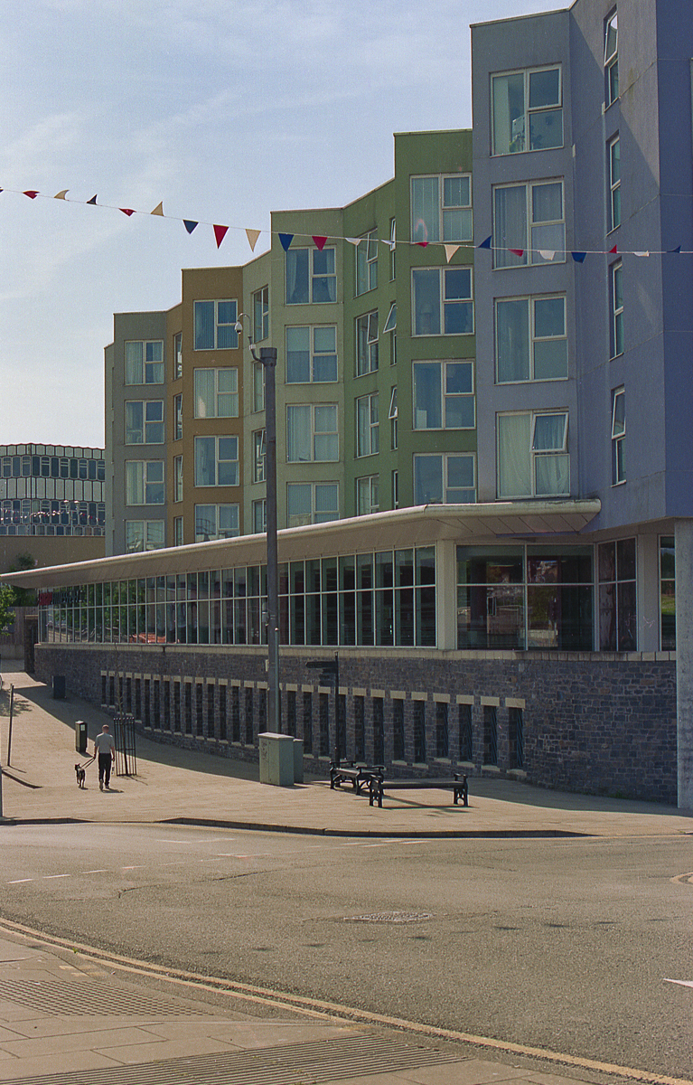Kodak Vision 3 50D on a sunny day …. – tim dobbs photography