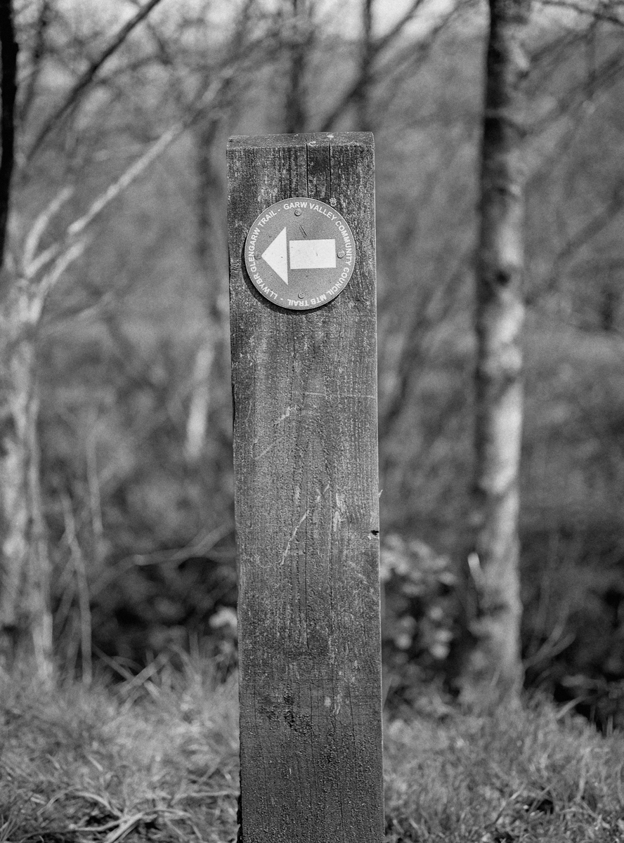 First time shooting Kosmo Foto Mono in the Mamiya 645 … – tim dobbs ...