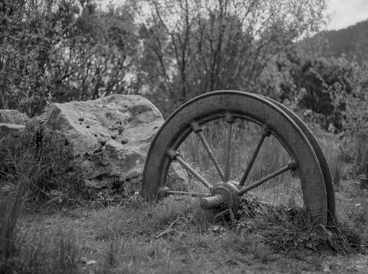First time shooting Kosmo Foto Mono in the Mamiya 645 … – tim dobbs ...