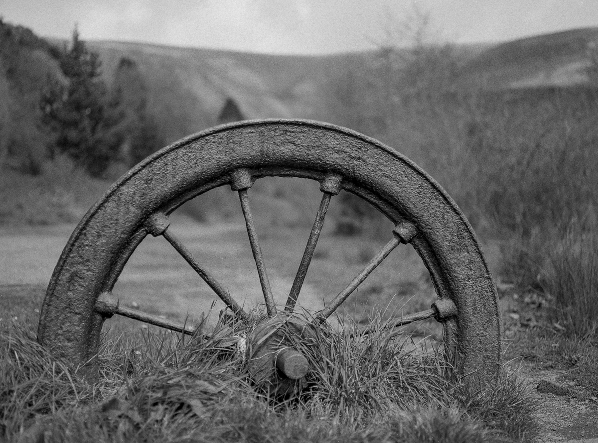 First time shooting Kosmo Foto Mono in the Mamiya 645 … – tim dobbs ...